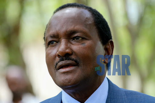 Real change is at the ballot, not hashtags — Kalonzo