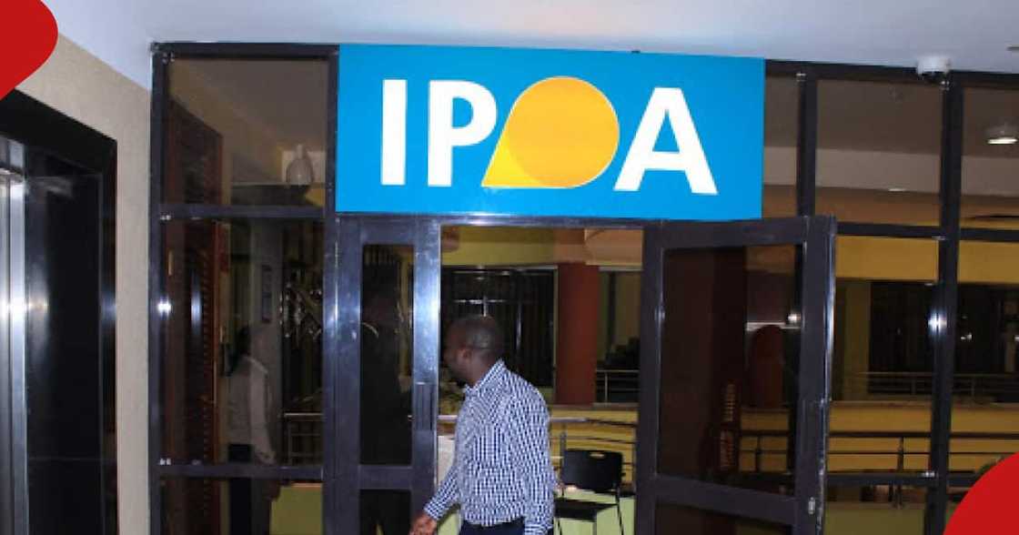 IPOA announces 7 job opportunities