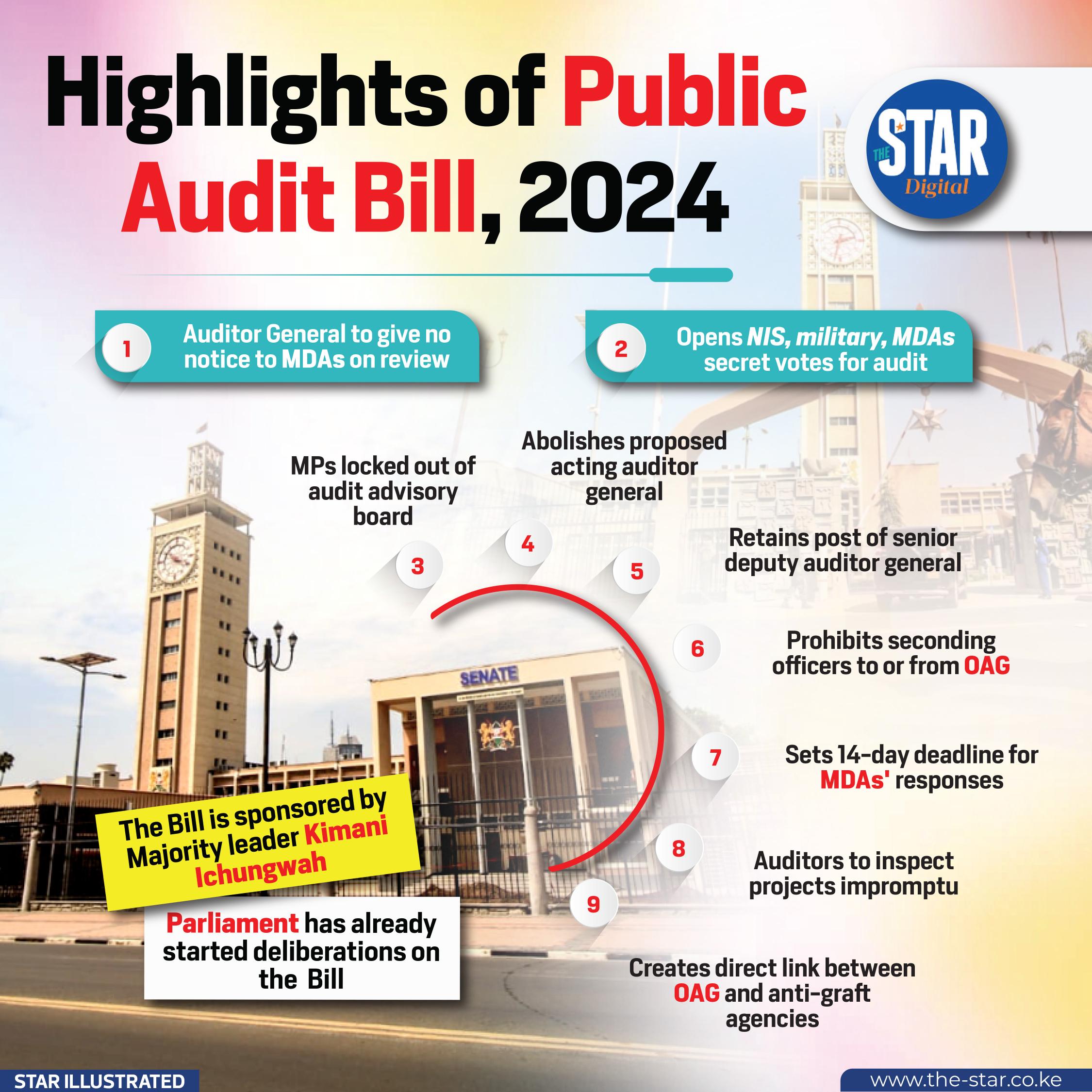 Highlights of Public Audit, 2024