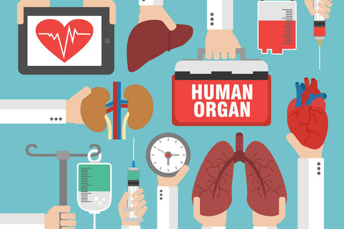 Top 5 most expensive human organs viable for transplant