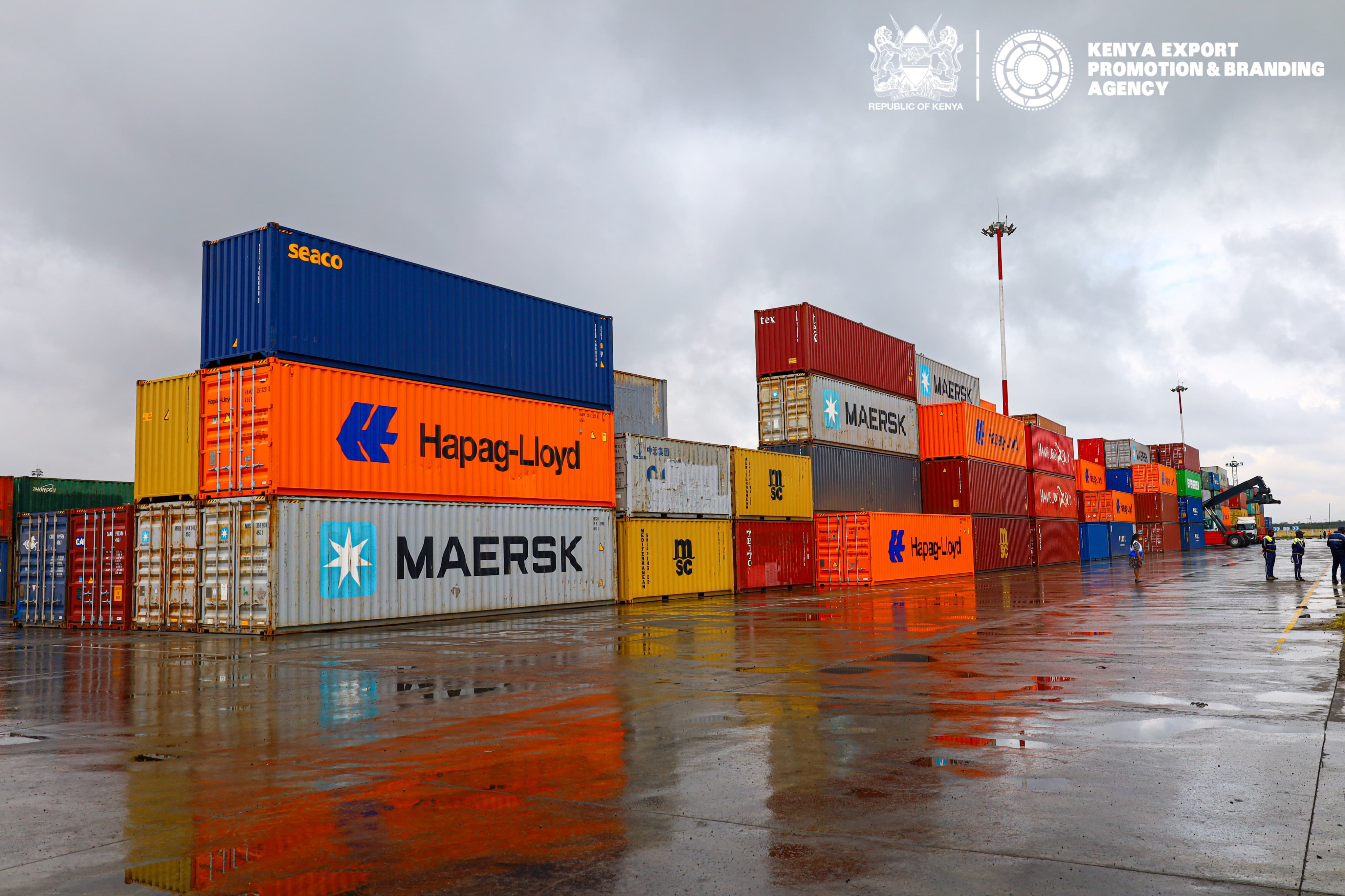 TradeConnect flags off MSMEs products to S Sudan, DRC and Zambia