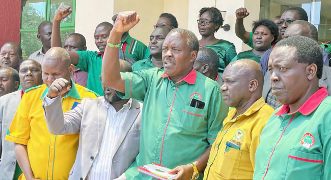 Knut boss steps in after teachers storm insurer’s office over cover