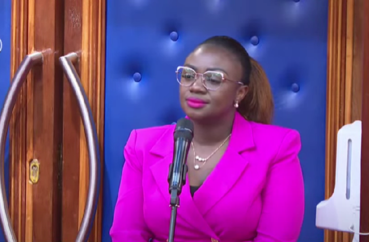 Teary Orwoba walks out of chambers after Kingi refuses apology