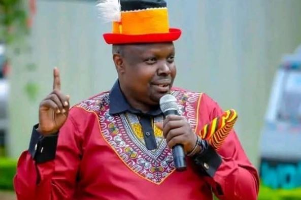 Pokot South MP Pkosing elected chairperson of Public Investments Committee