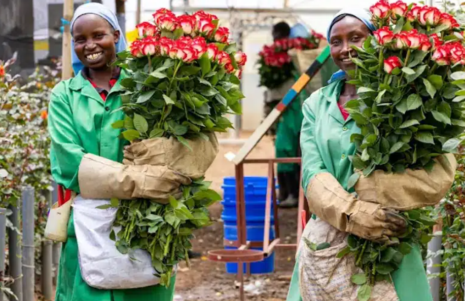 Kenya's flower sector is ready for new EU's standards - Kagwe