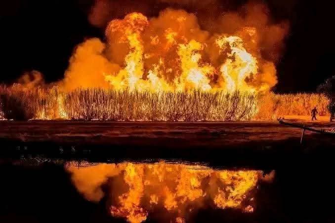 Fire engulfs acres of sugarcane plantation in Angata Barrikoi