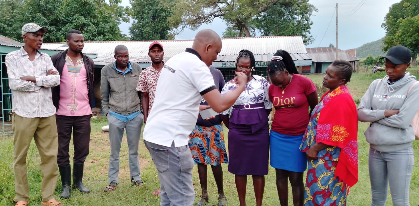 Healing the wounds of war: From cattle rustling to peacebuilding at Kenya’s troubled borders