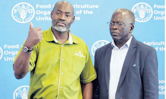 Kenya Targets Sh430 Billion in Tea Revenue with Low-Carbon tea