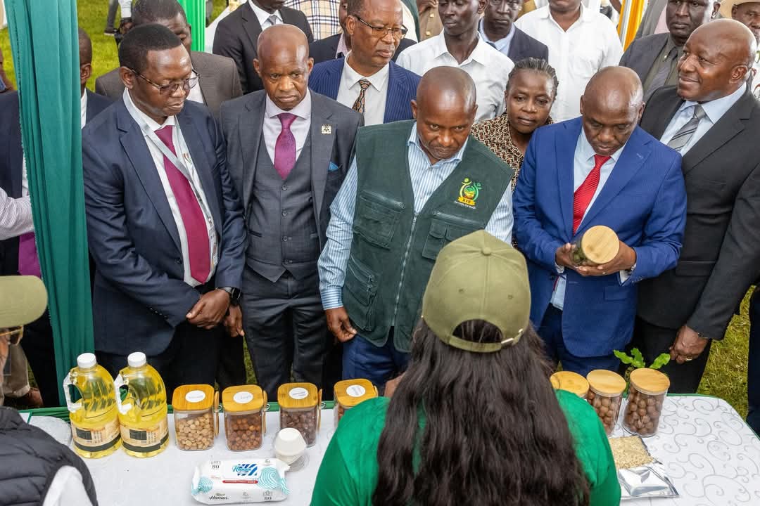 Win for Muguka farmers after controversial Bill dropped