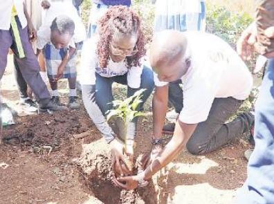 BIC launches fruit tree planting drive in schools to mark 75 years