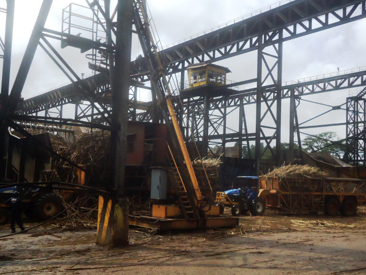Sugarcane farmers now resolve to revive Busia Outgrowers Company
