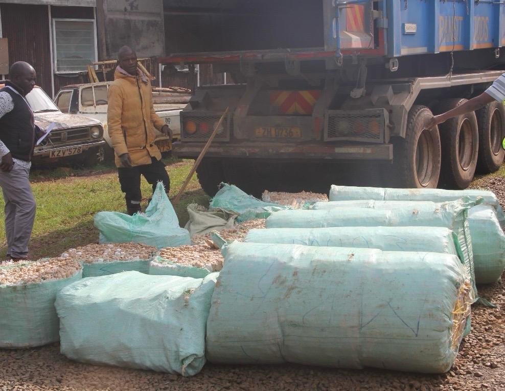 Two arrested as police seize lorry ferrying 12 bags of bhang