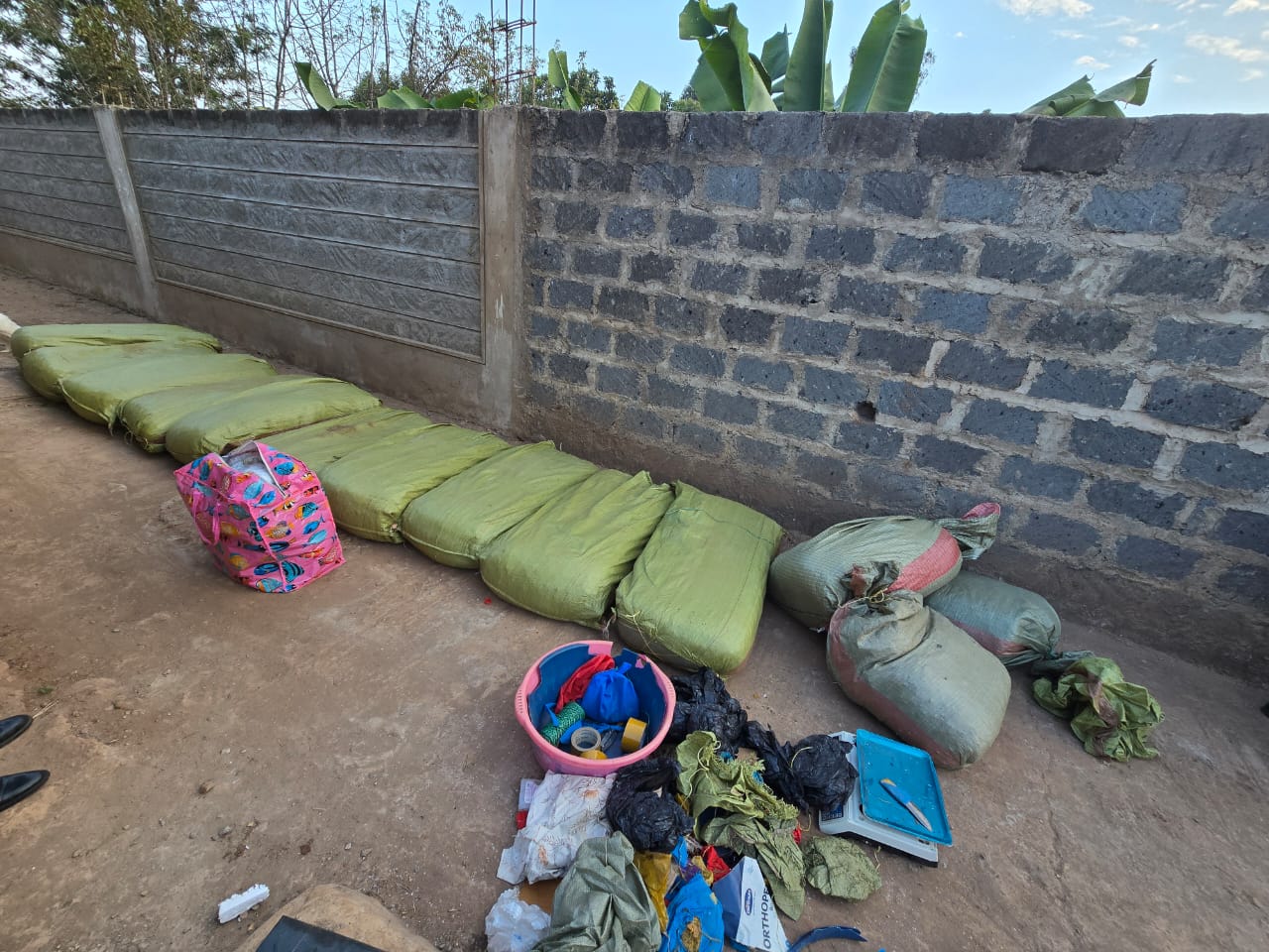Murang'a woman arrested, 13 sacks of bhang seized