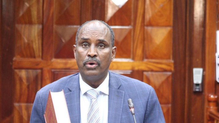 What awaits Kenya’s Consul General to Haiti Noor Gabow