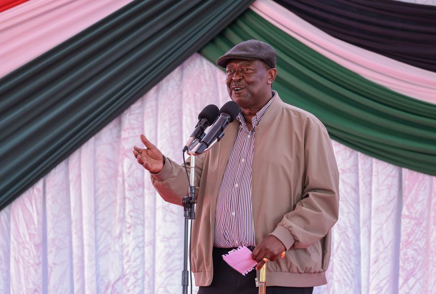 UDA settles on primaries to pick Malava candidate - Mudavadi