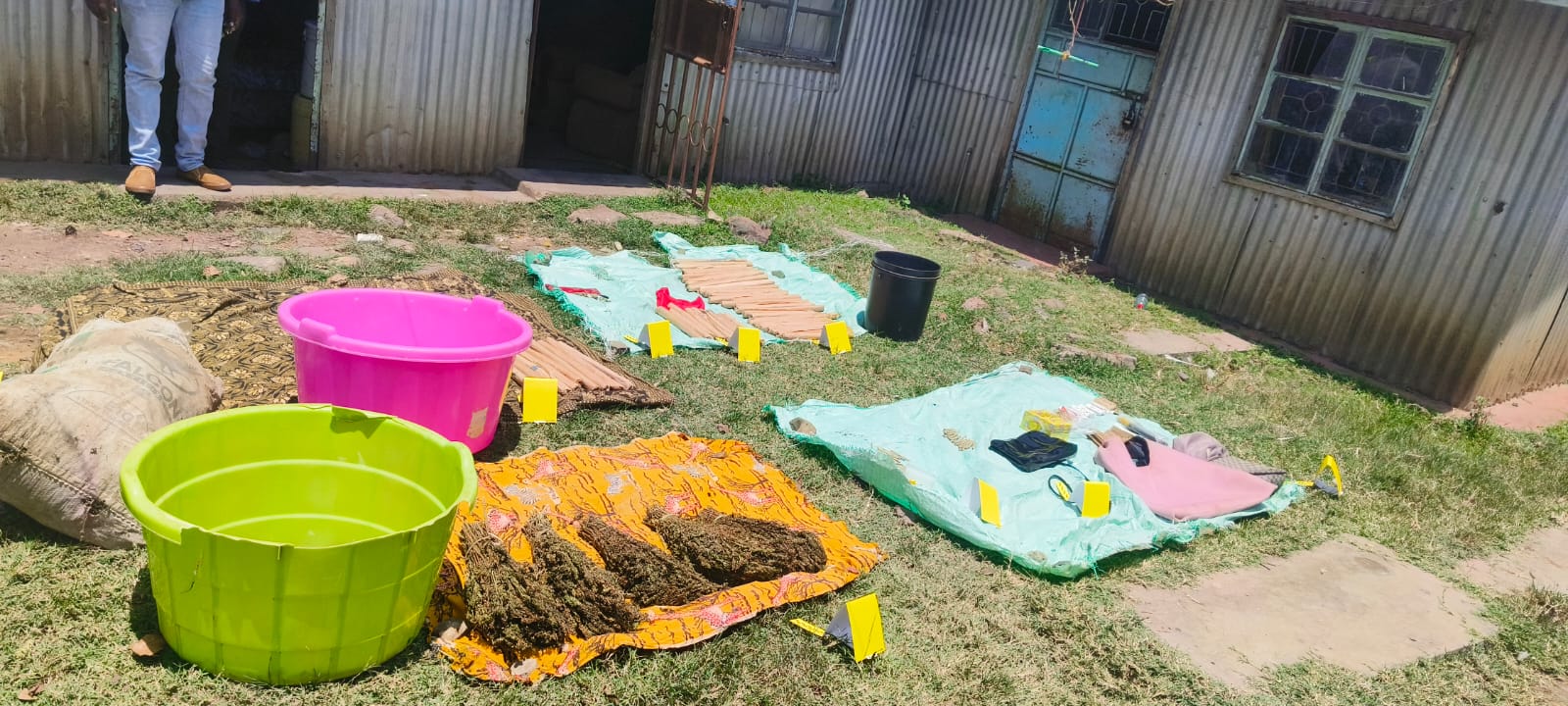 Bhang worth Sh12m seized in Kisumu as NACADA cracks drug network