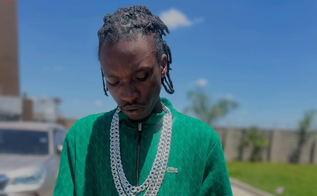 The Buzz Around "Bud Flowers": What Fans Are Saying About Toxic ...