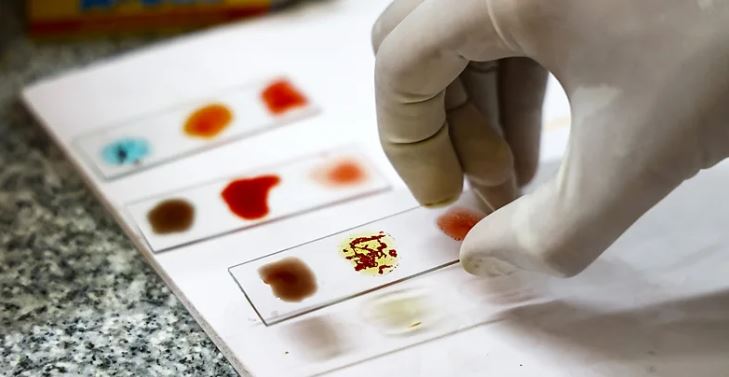 How the world's rarest blood type could save lives