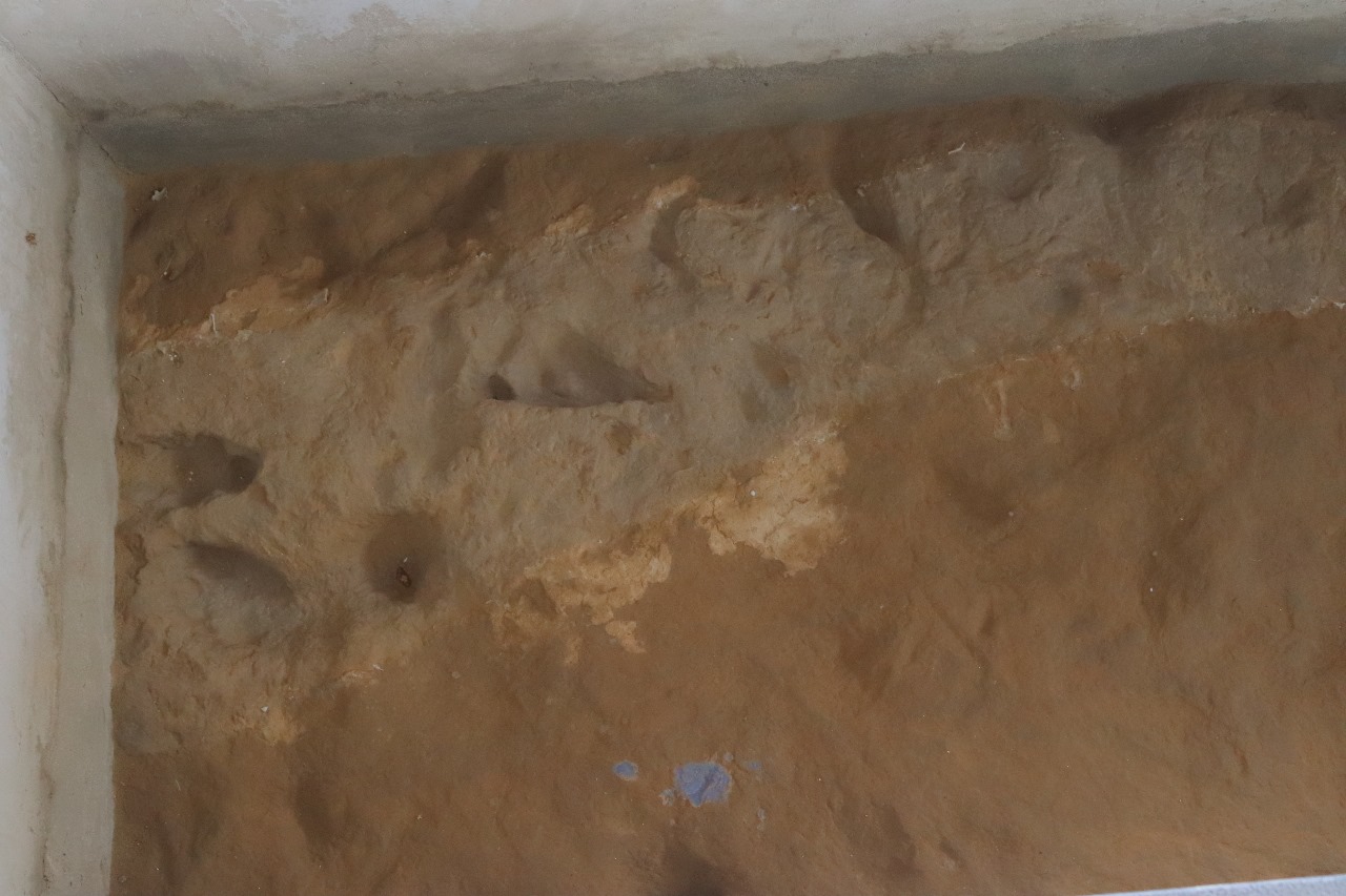 Guarding Marsabit legacy of early man’s footprints