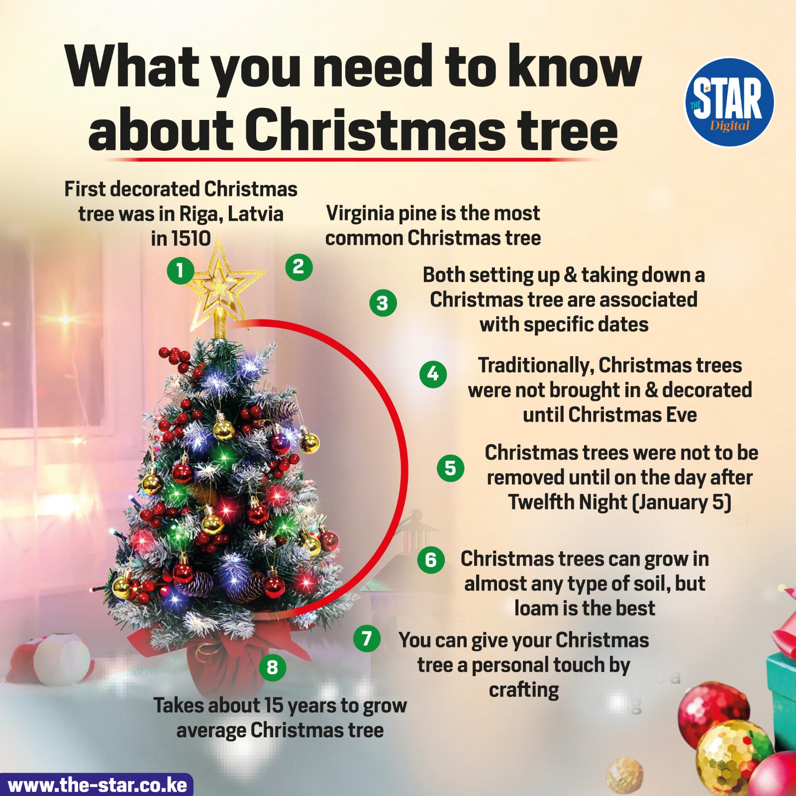 What you need to know about Christmas tree