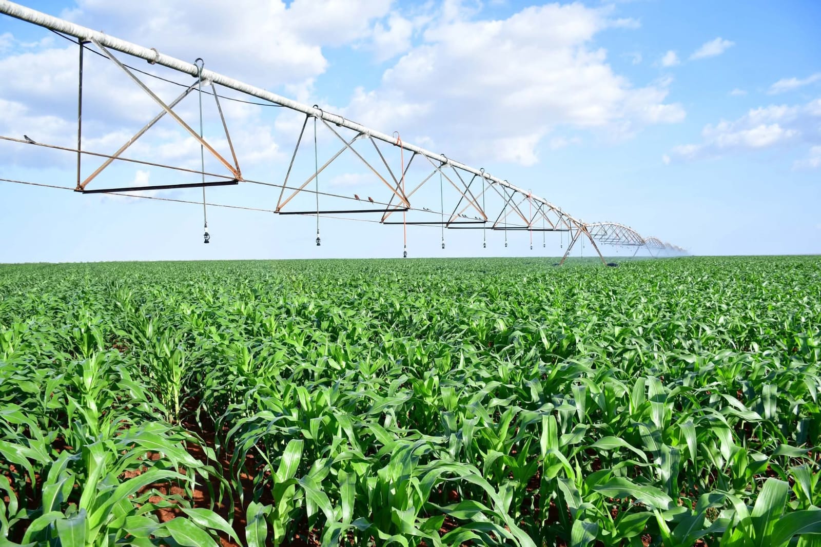 PS Omollo: Modern farming at Galana–Kulalu to cut Kenya’s food imports