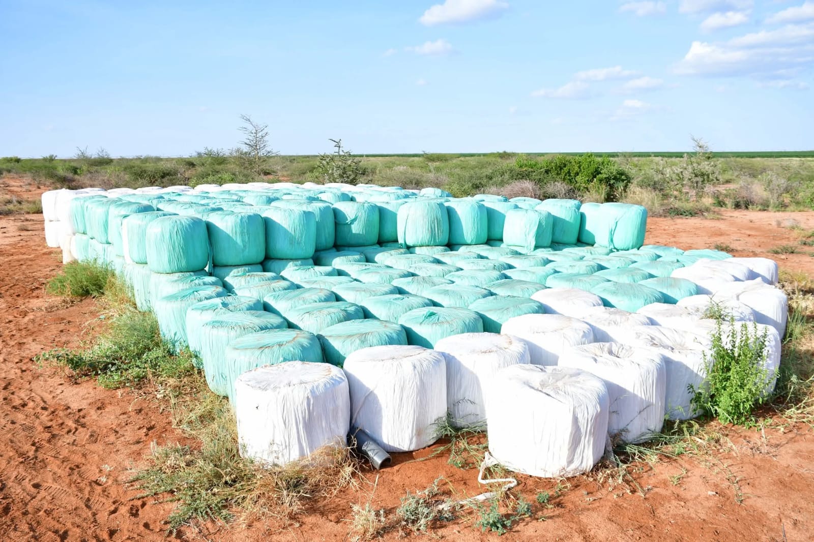 PS Omollo: Modern farming at Galana–Kulalu to cut Kenya’s food imports