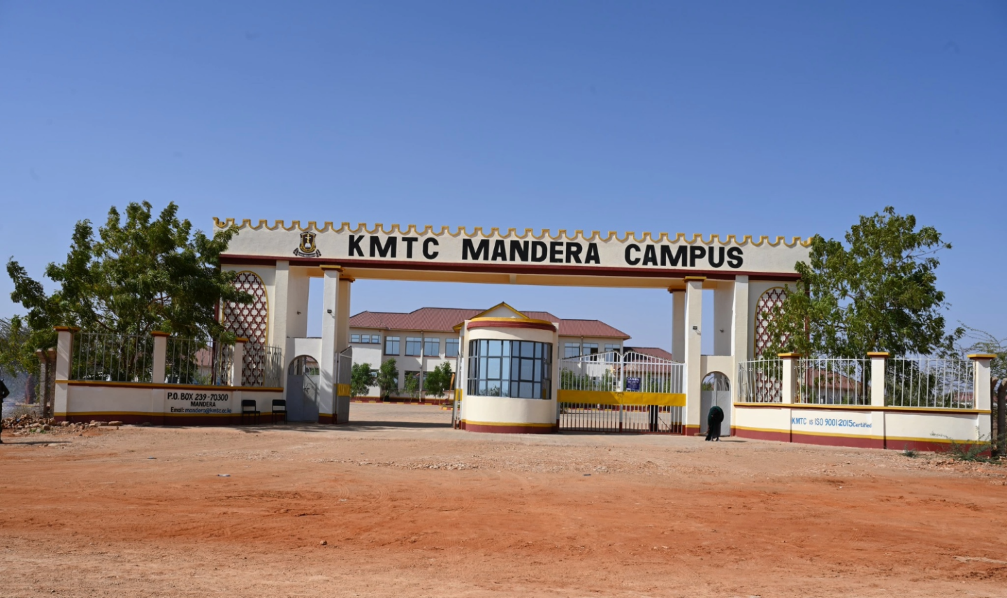 ALIO: Rethinking Kenya’s regional inequalities and devolution success ...