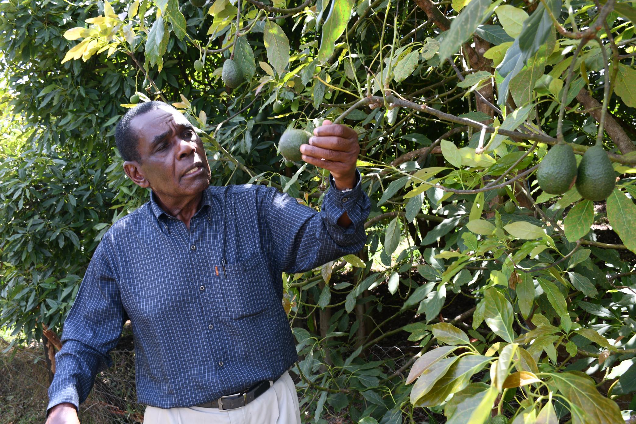 From mystic Jomo to humble Moi and selfless Kibaki, ex-spy narrates ...