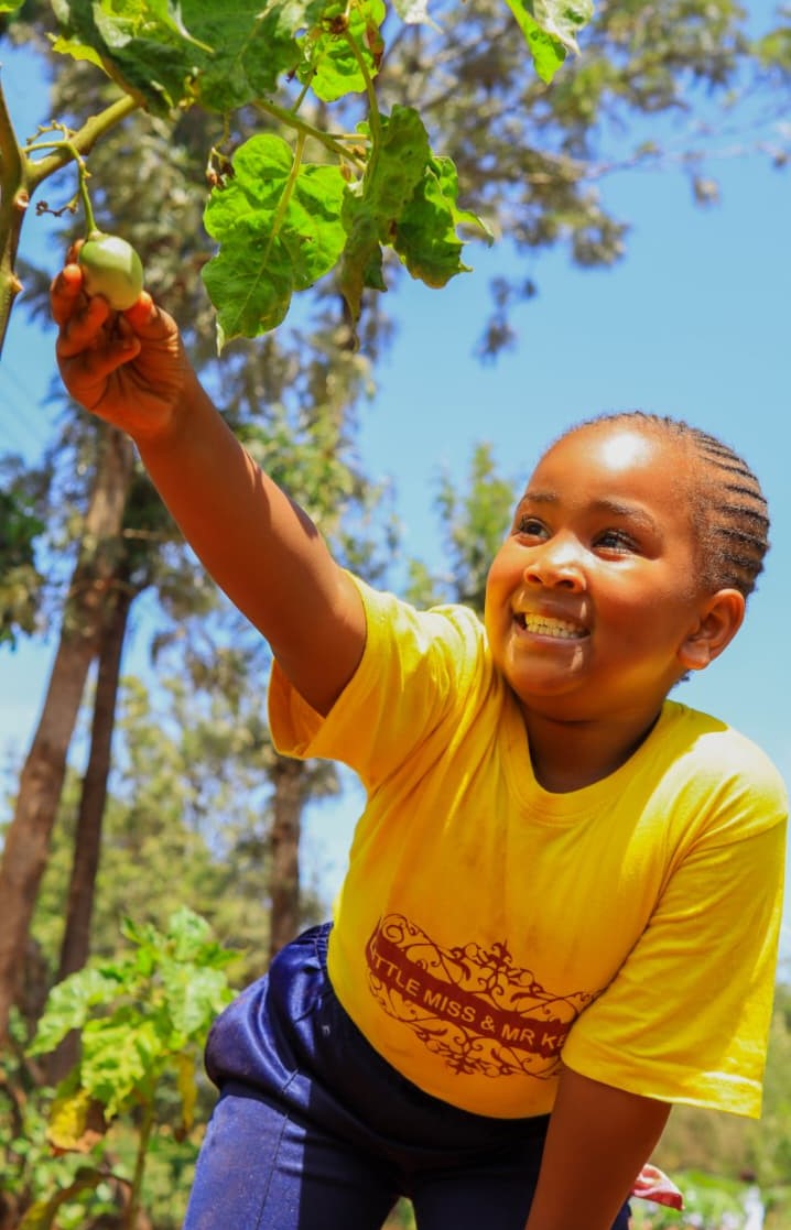 Six-year-old girl rallies her friends into planting trees
