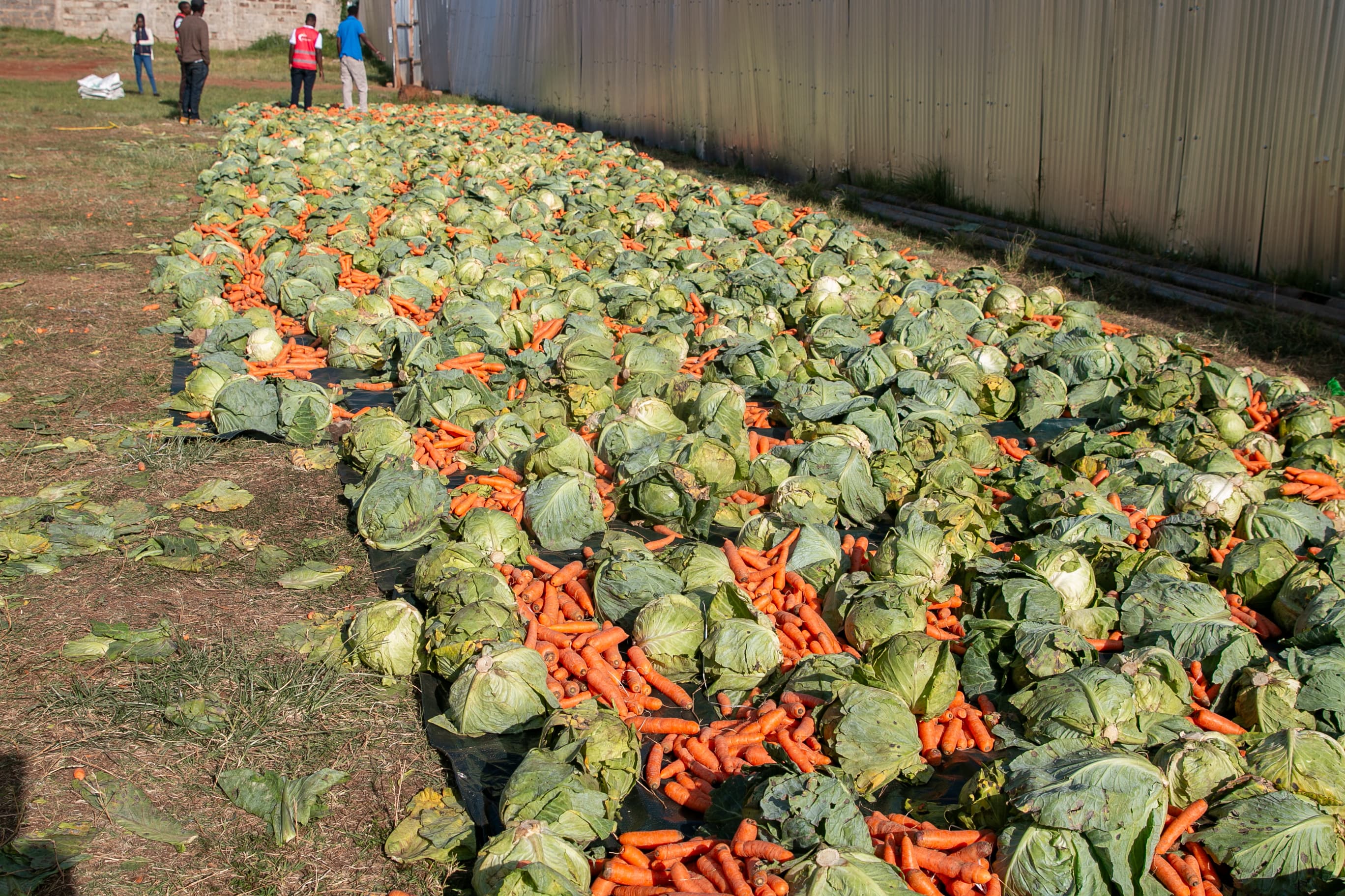 Zero to one: The food drive helping Nairobi families earn and eat