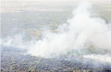Dry season may spark wildfires, cautions Kenya Forest Service