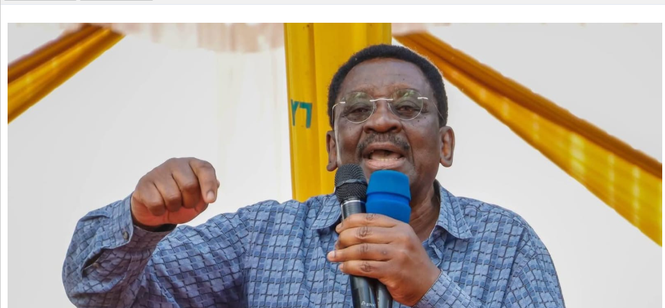 ‘Backward, primitive thinking’: Orengo rejects claims Linda Mwananchi ...
