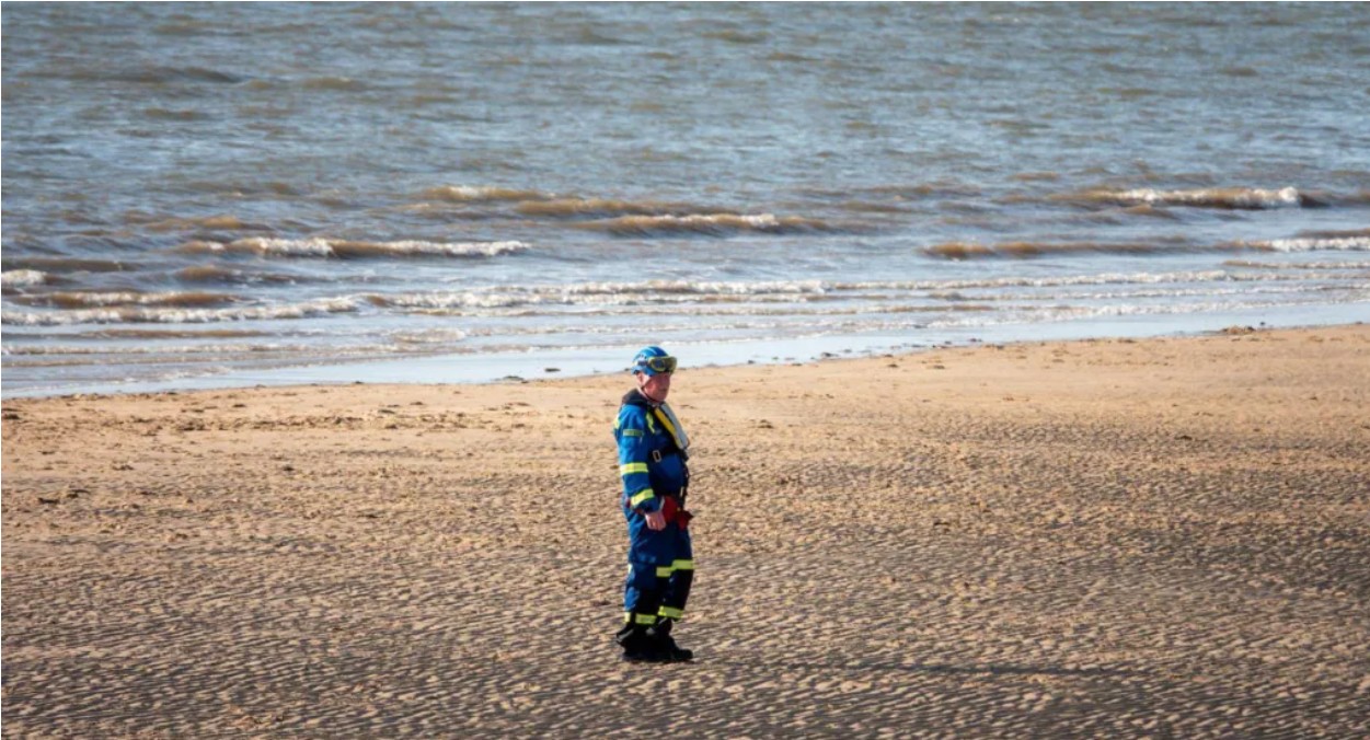Woman dies trying to rescue dog from sea