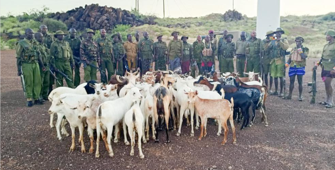 Gun battle in bush ends with recovery of 251 sheep and goats in ...
