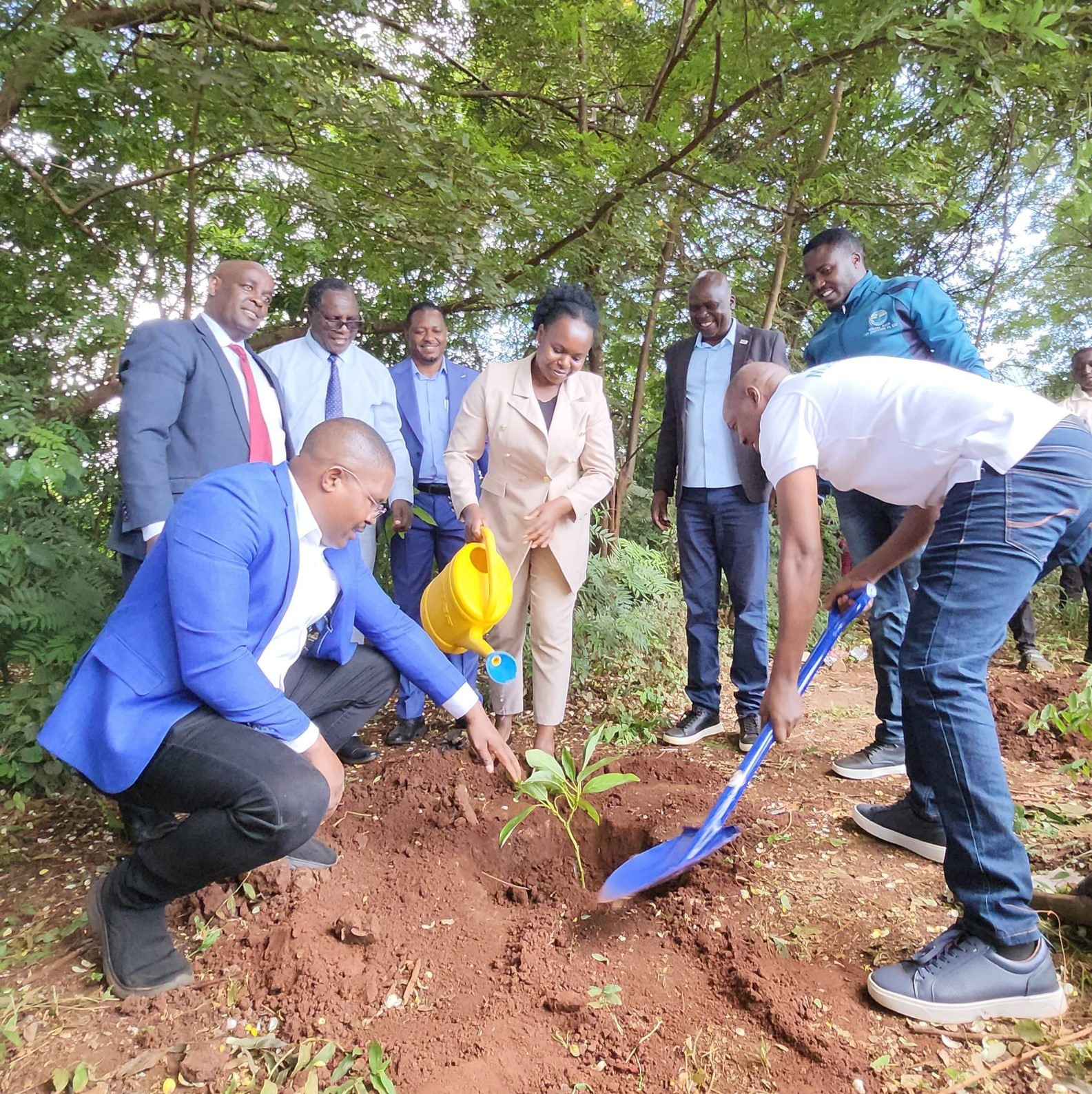 Murang’a water firms donate 10K fruit tree seedlings to promote ...